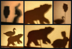 Exploring Light with Shadow Puppets