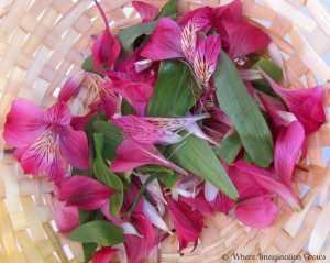 Nature Art Flower Collages for Kids! - Where Imagination Grows