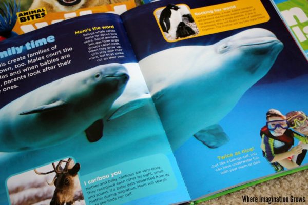 Must Have Nonfiction Animal Books for Kids - Where Imagination Grows