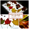 Light Play Activities for Kids