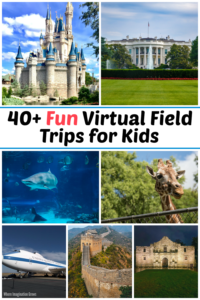 40+ Virtual Field Trips for Kids - Where Imagination Grows