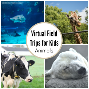 40+ Virtual Field Trips for Kids - Where Imagination Grows